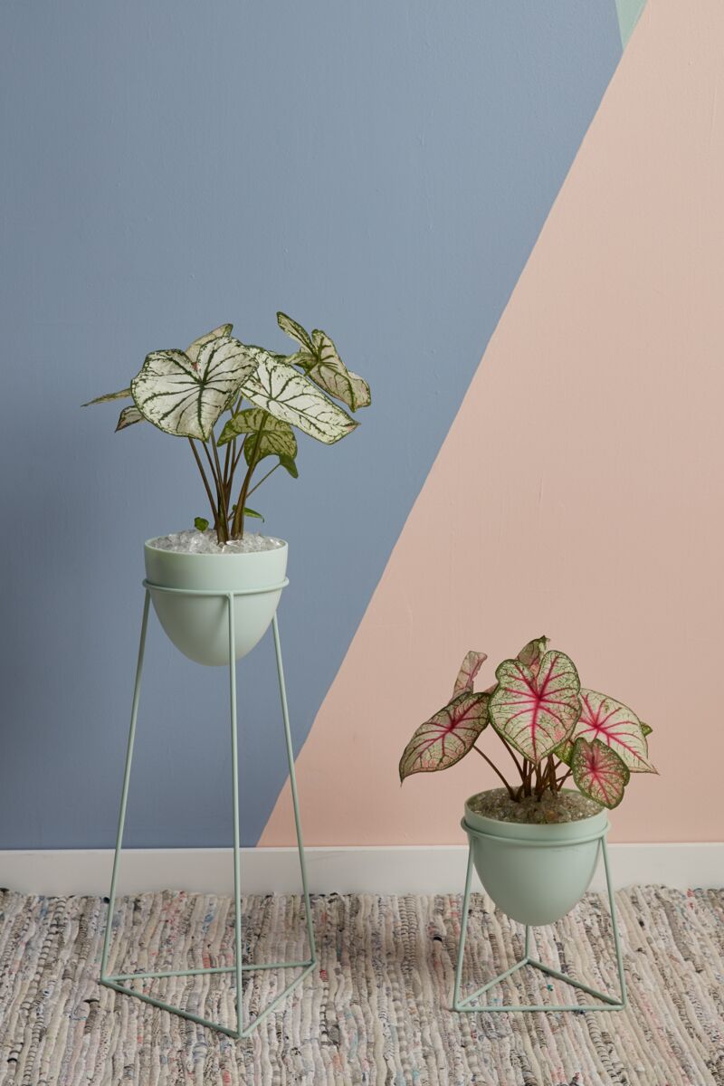 Kelly Plant Stand – Mod House